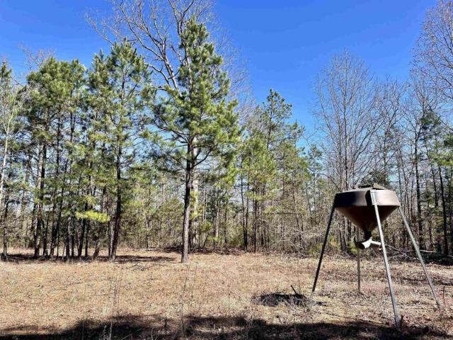 Mountain View, Izard County, AR Undeveloped Land for sale Prop.