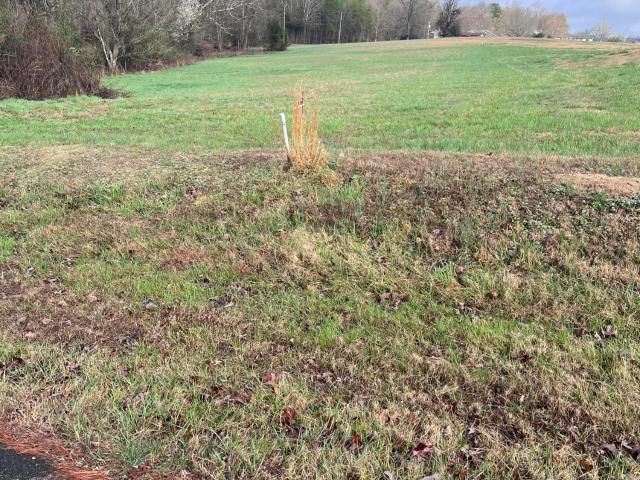 Mountain View Lane, Baneberry, TN 37890
