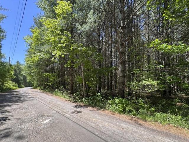 Mountain View Ln Lot,hope, Plot For Sale
