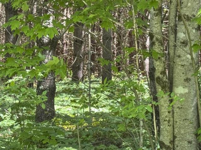 Mountain View Ln Lot,hope, Plot For Sale