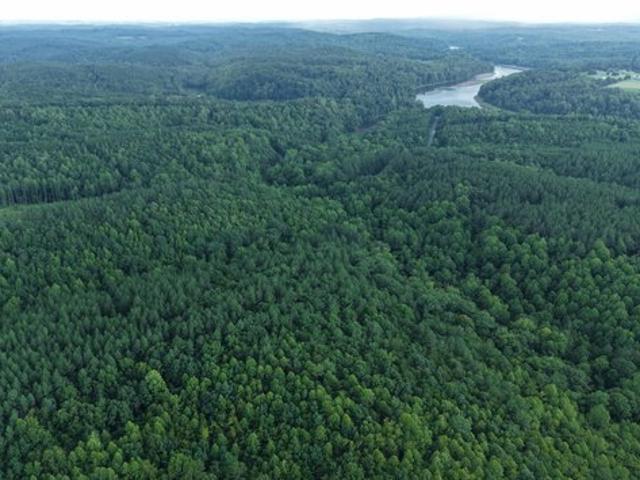 Mountain View Shores Dr, Pittsville, VA 24139