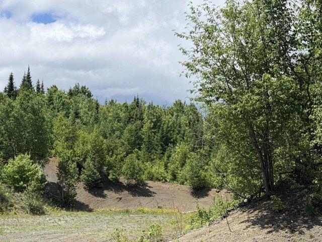 Mountain View Trl Lot,greenville, Plot For Sale