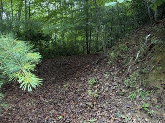 Mountain Vista Ln Lot 3, Topton, NC 28781