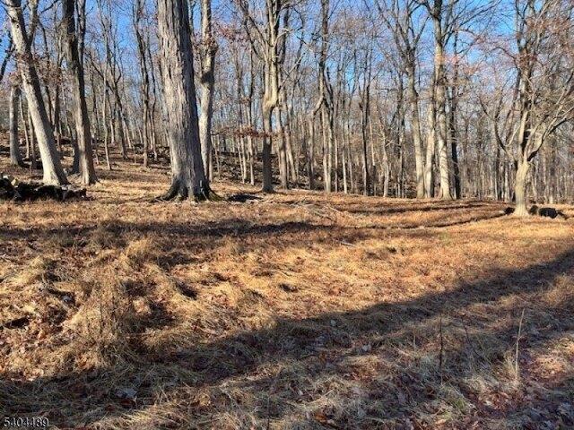 Mountain Ave, North Caldwell, Plot For Sale