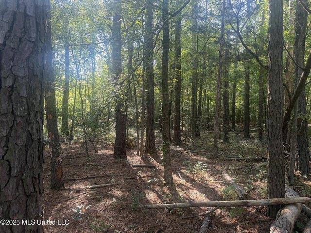 Mountain Creek Farm Rd, Florence, MS 39073