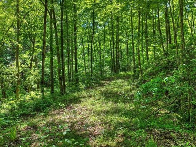 Mountain Creek Hollow Dr Lot 106, Talking Rock, GA 30175