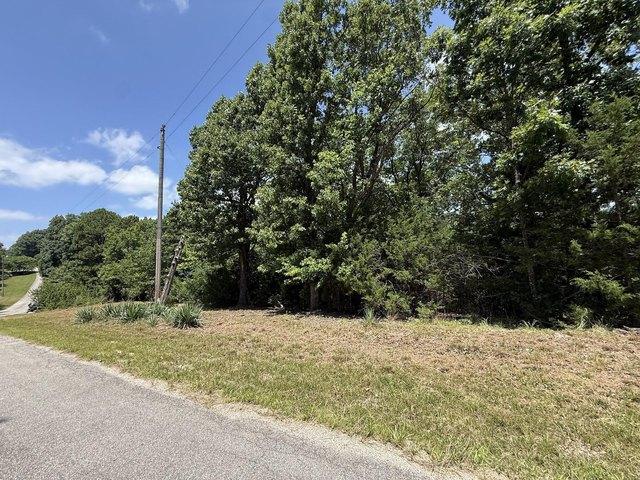 Mountain Estate Dr Lots 14 & 15, Blue Eye, MO 65611