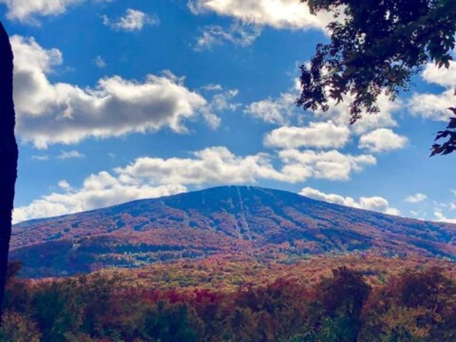 Mountain Haunts, Winhall, Plot For Sale