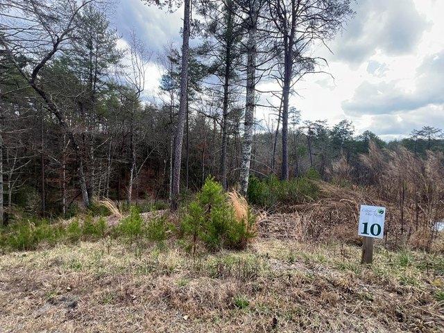 Mountain Laurel Rdg Lot 10, Mineral Bluff, GA 30559