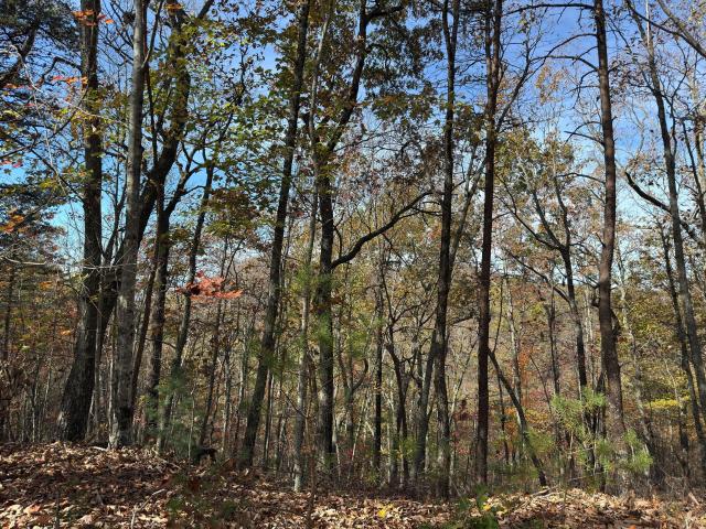 Mountain Lookout Drive, Bostic, US, NC