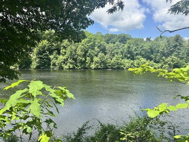 Mountain Lot Map Rd Lot Size, Chesterfield, Plot For Sale
