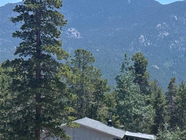 Mountain Meadows