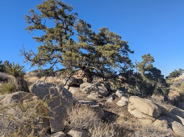 Mountain Park Rd Lot 84, Mountain Center, CA 92561