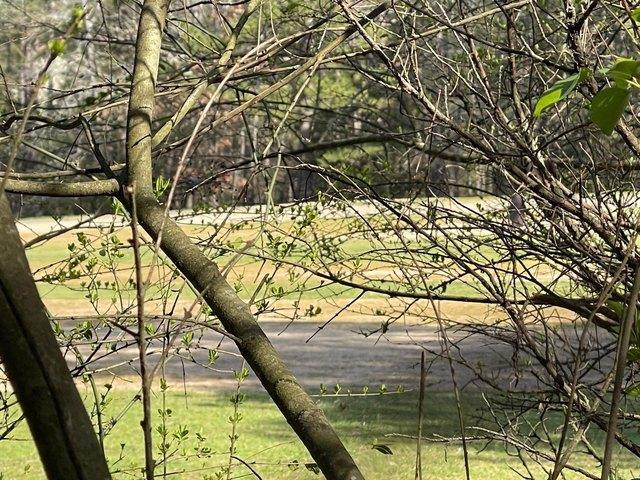 Mountain Ranch Dr Lot 152, Fairfield Bay, AR 72088