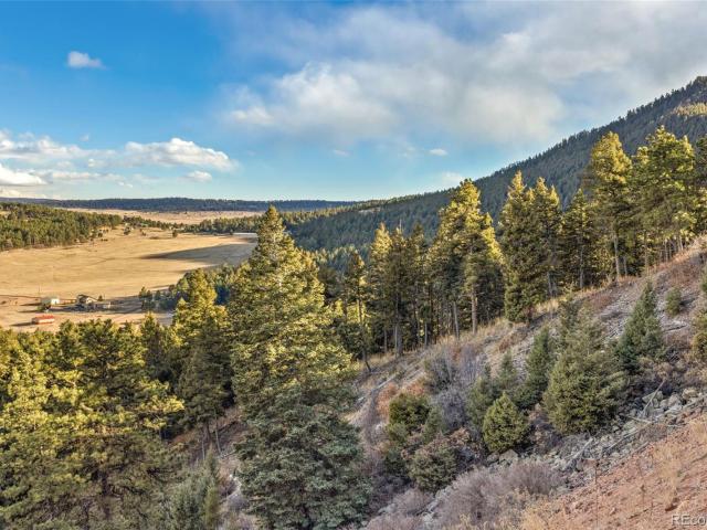 Mountain Ranch Road