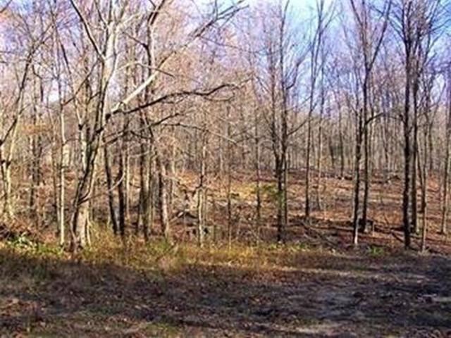 Mountain Rd, Wilbraham, Plot For Sale
