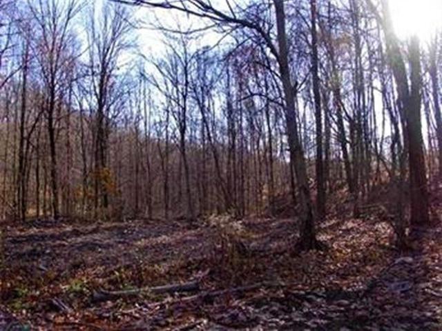 Mountain Rd, Wilbraham, Plot For Sale
