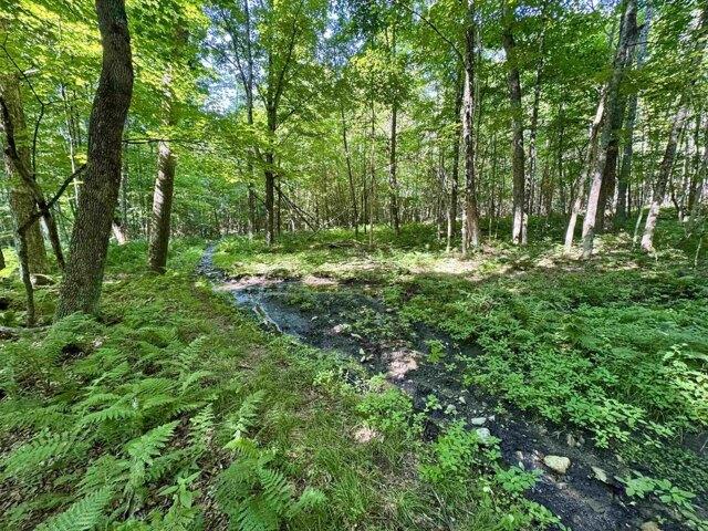 Mountain Rd, Bath, Plot For Sale