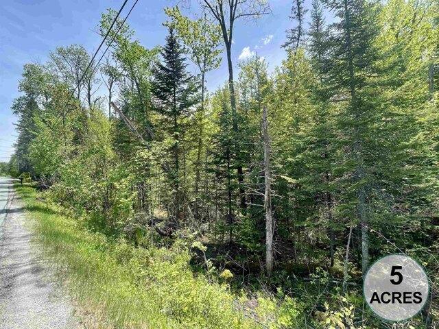 Mountain Rd, Burke, Plot For Sale