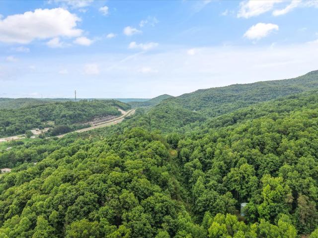 Mountain Rd, Caryville, TN 37714