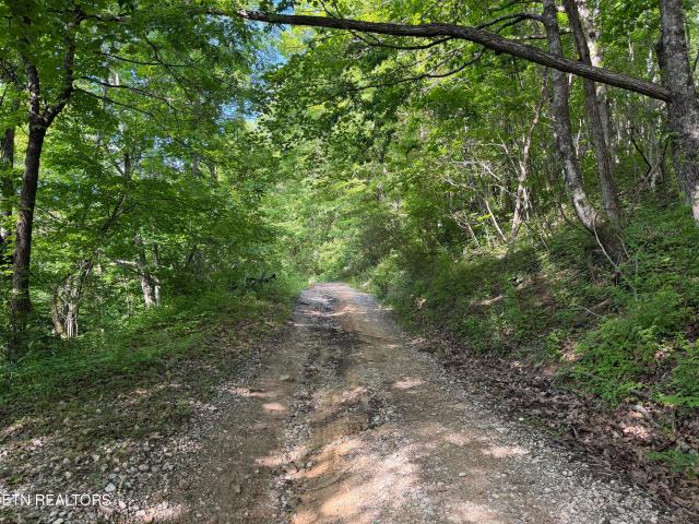 Mountain Rd, Caryville, TN 37714