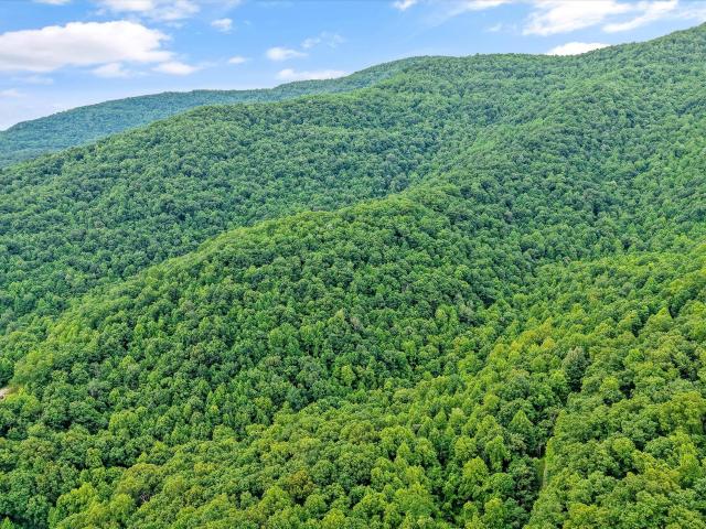 Mountain Rd, Caryville, TN 37714