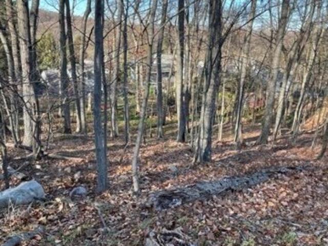 Mountain Rd, Denville, Plot For Sale