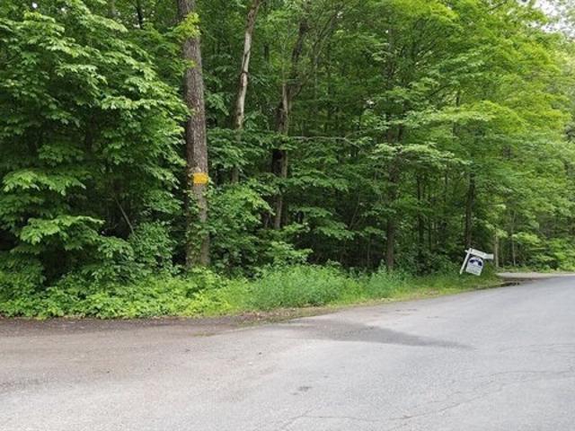 Mountain Rd, Hampden, Plot For Sale
