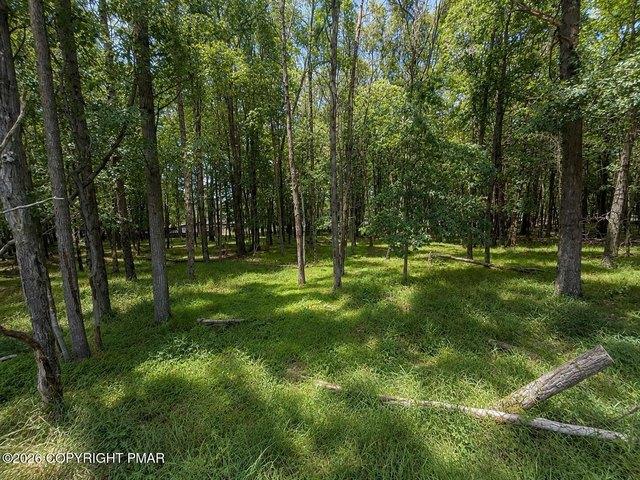 Mountain Rd Lot 521, Albrightsville, PA 18210