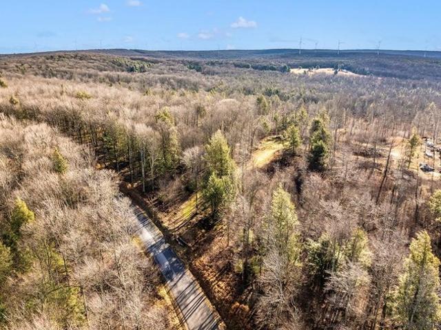 Mountain Rd Lot 6, Lilly, PA 15938