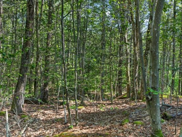 Mountain Rd Lot A, York, Plot For Sale
