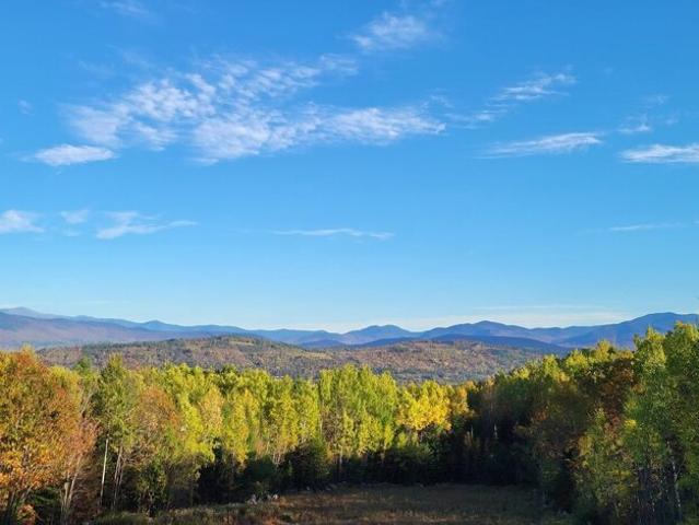 Mountain Rd Lot,dalton, Plot For Sale