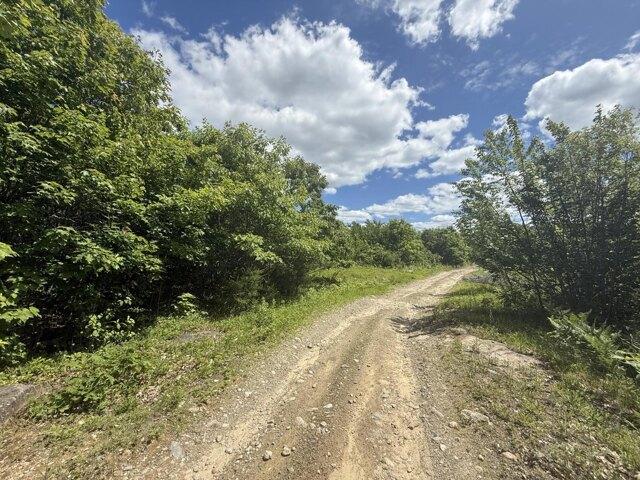 Mountain Rd Lot,warren, Plot For Sale