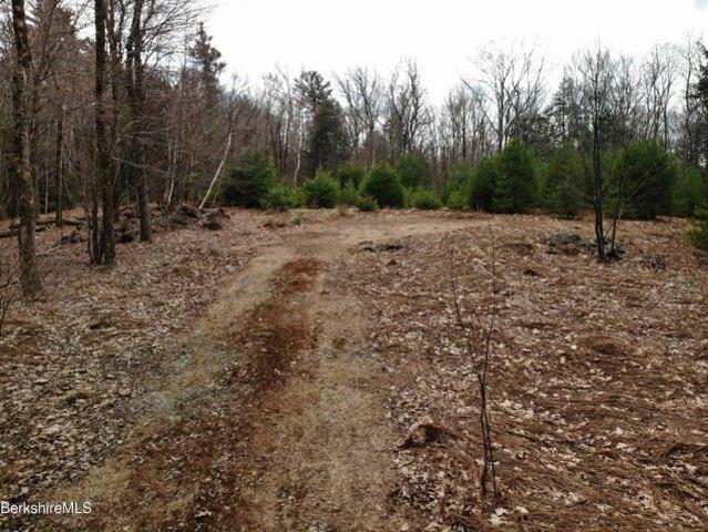 Mountain Rd, Mount Washington, Plot For Sale
