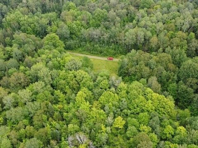 Mountain Rd, Presque Isle, Plot For Sale