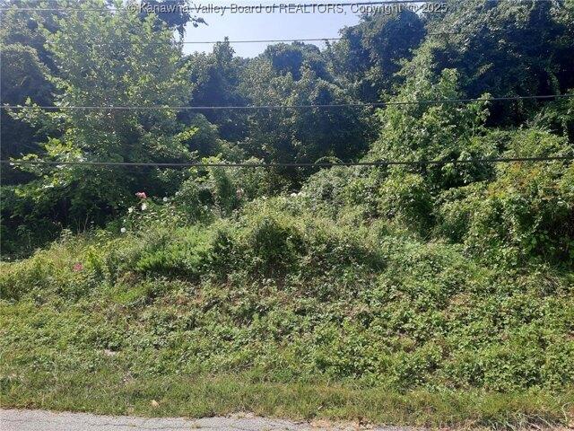 Mountain Rd, South Charleston, Plot For Sale