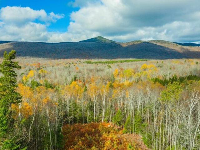Mountain Ridge Dr Lot,wilmington, Plot For Sale
