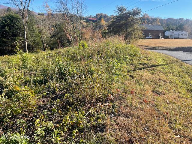 Mountain Ridge, Newport, TN 37821