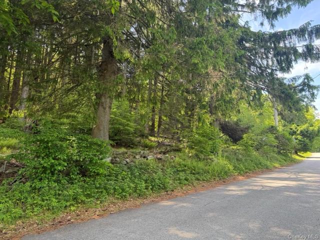 Mountain Road N