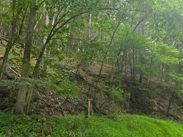 Mountain Run Road