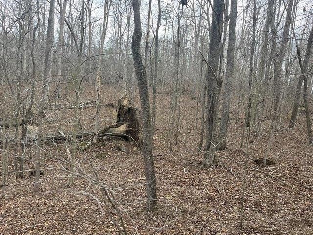 Mountain Springs Cem Rd Lot 10, Ravenna, KY 40475