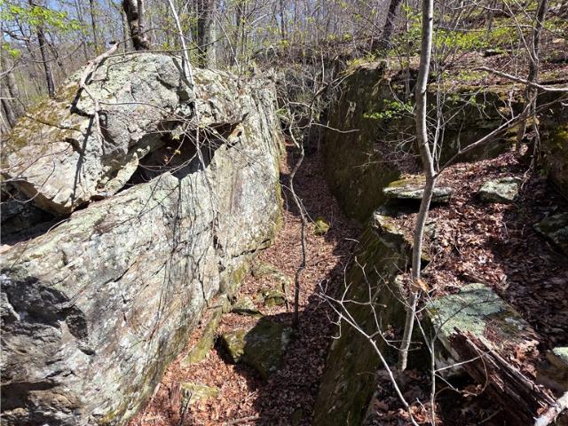 Mountain Springs Rd