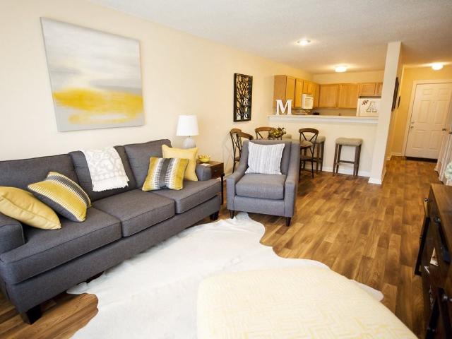 Mountaineer Village 3 Bedroom Apartment for Rent at 517 Yosef Dr, Boone, NC 28607
