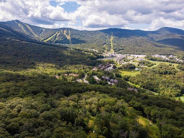 Mountainside Dr Lot,killington, Plot For Sale