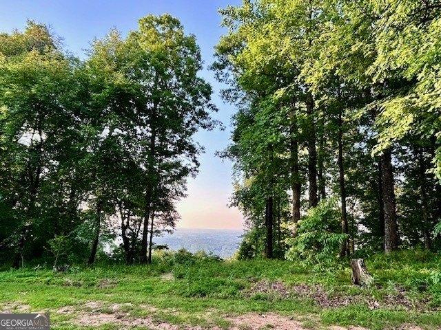 Mountainside Dr Lot 17, Cleveland, GA 30528