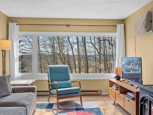 Mountainside Dr Unit E, Stowe, Condo For Sale