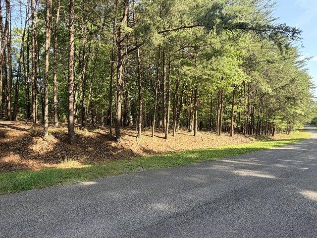 Mountwood Dr Lot 75, Huddleston, VA 24104
