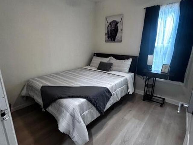 Move In Ready East Plano Rooms Near Collin College & Hwy 75