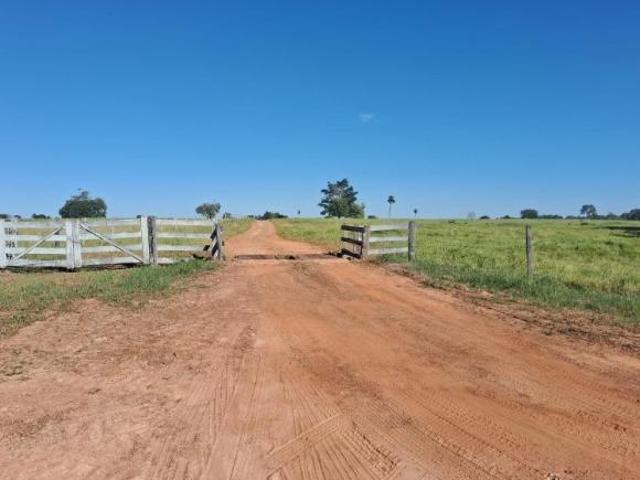 Mozarlândia GO 260 alqueires, Totalmente legalizada !