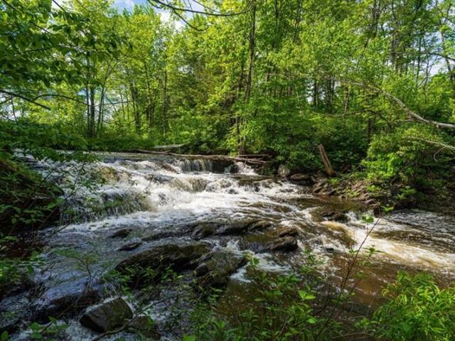 Ml Troy Center Rd, Dixmont, Plot For Sale